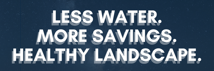 Hilarity to Clarity: The Best Irrigation Slogans