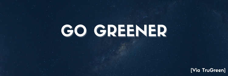 Funny to Effective: The Best Lawn Care Slogans