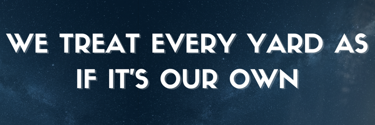 Funny to Effective: The Best Lawn Care Slogans