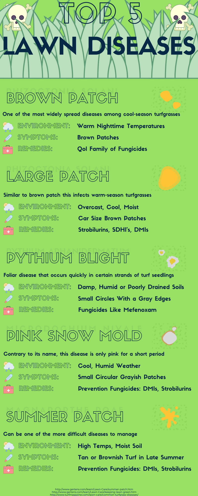 [List] Top 5 Lawn Diseases